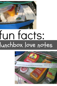lunchbox love notes Archives - Teach Mama