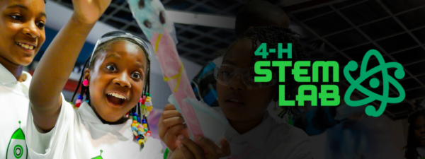 STEM Lab: free, hands-on STEM activities for kids & teens - Teach Mama