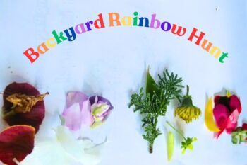 Backyard Rainbow Hunt