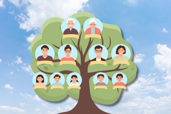 Family Tree Project for Kids: A Step-by-Step Guide to "Homework Gold"